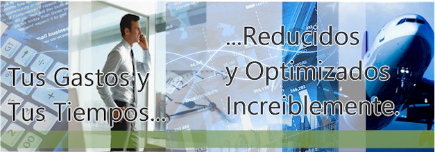 ATESA : Grupo Asesor : México